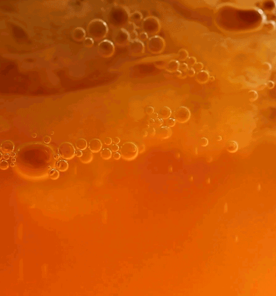 Living Alchemy – Living Alchemy CANADA