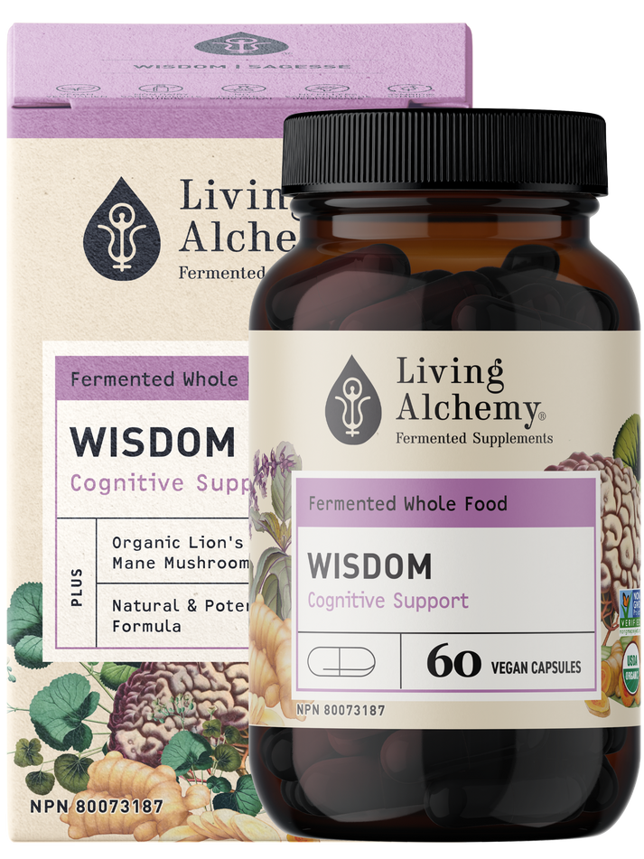 Wisdom Blend | Living Alchemy - Fermented Cognitive Supplement – Living ...