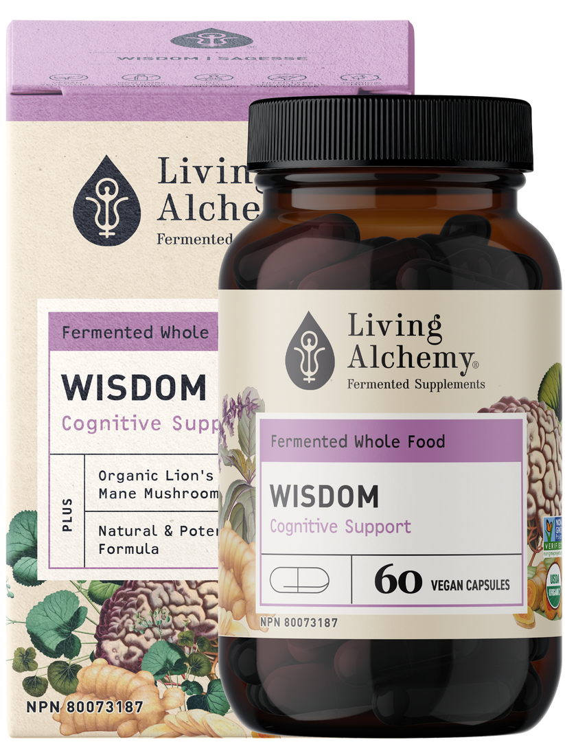 Wisdom Blend | Living Alchemy - Fermented Cognitive Supplement – Living ...