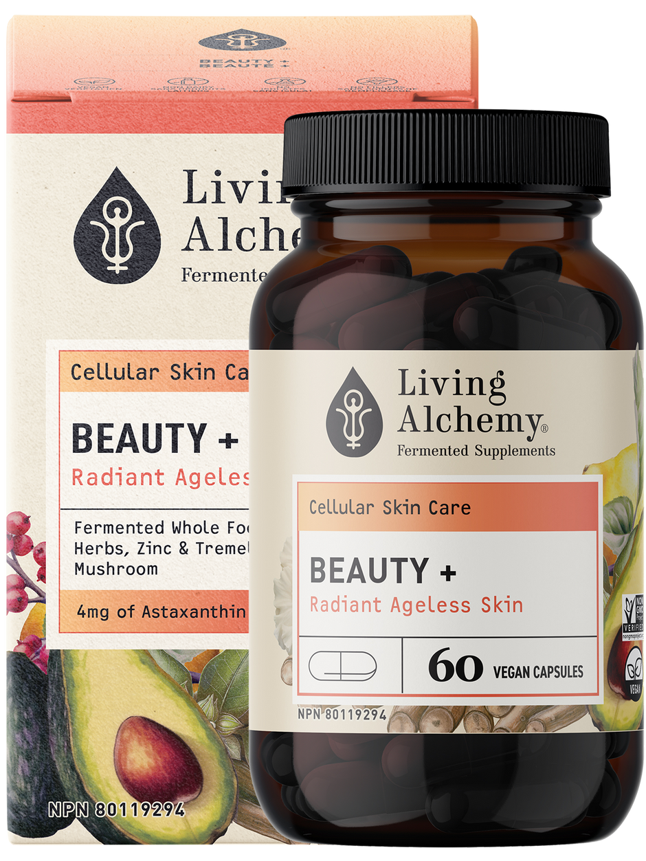 Women's Hormonal, Stress, UT Supplements | Living Alchemy – Living ...