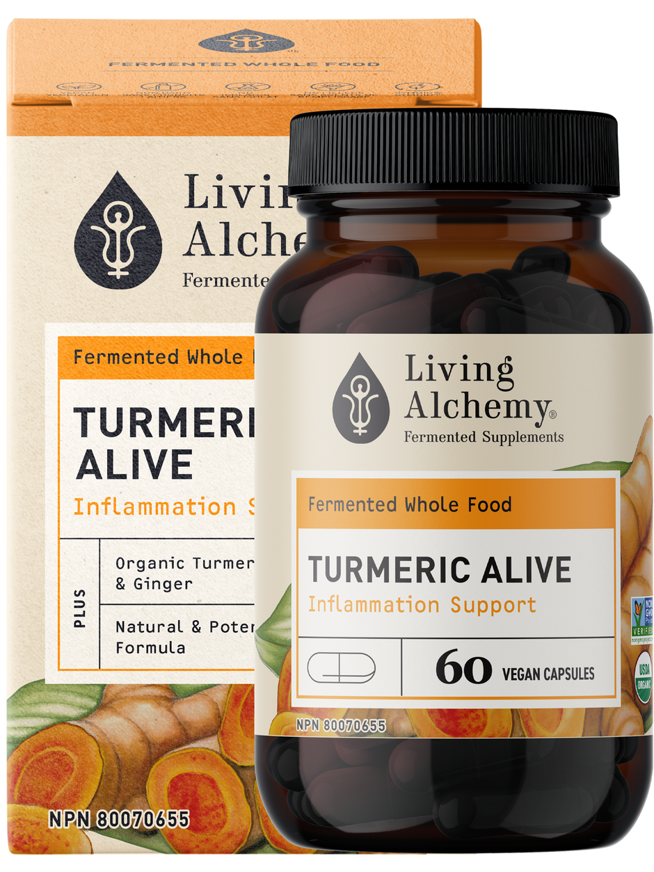 Anti-Inflammatory Supplements for Joint and Gut Health – Living Alchemy ...
