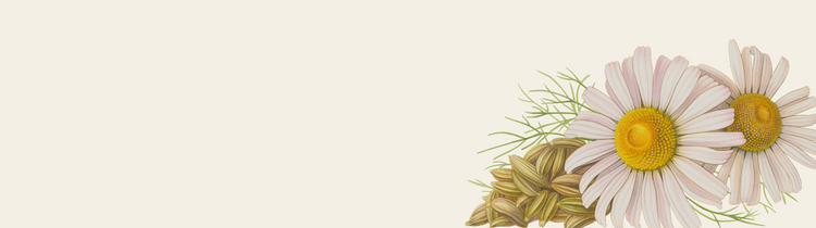 Living Alchemy – Living Alchemy CANADA