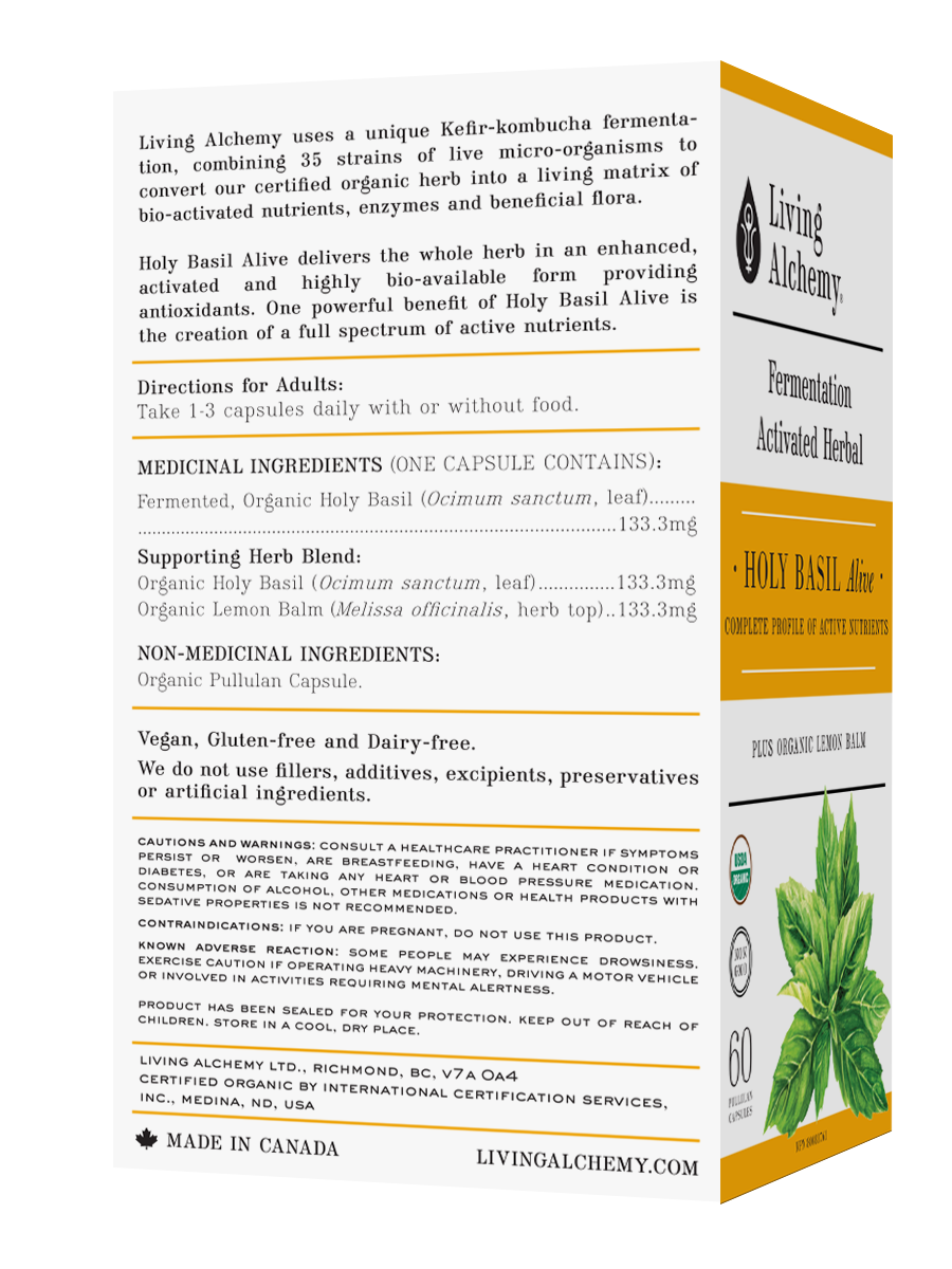 Fermented Holy Basil - To Calm Nerves And Improve Mental Clarity ...